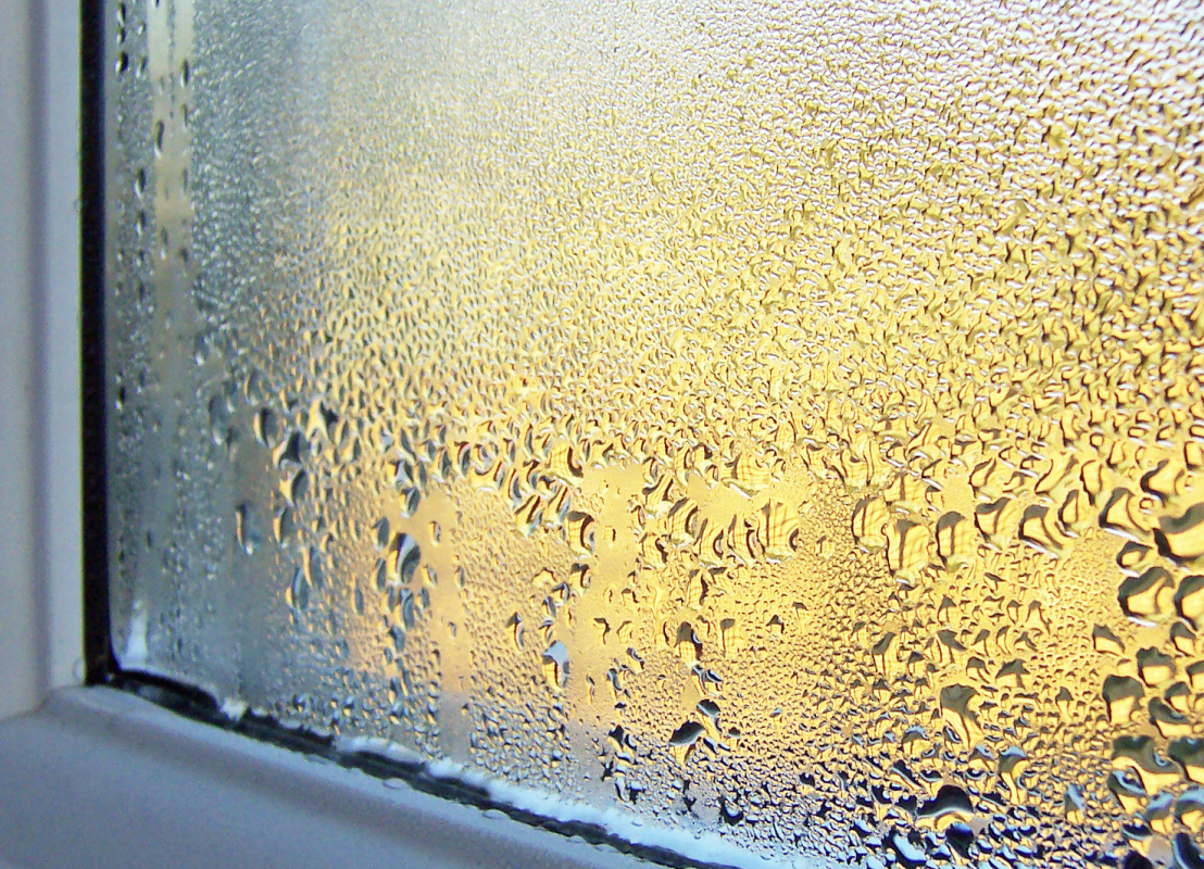 Window condensation » Why and how to stop it
